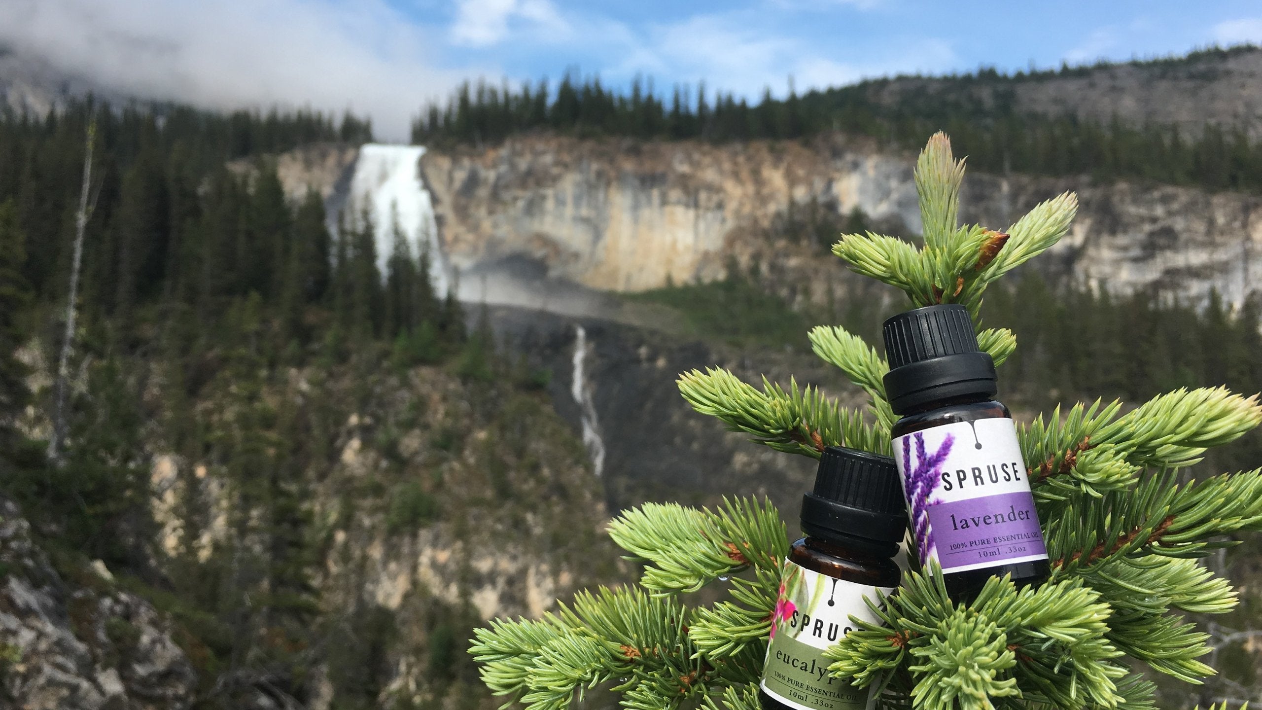 Essential Oils & Aromatherapy - Free Shipping - Proudly Canadian ...